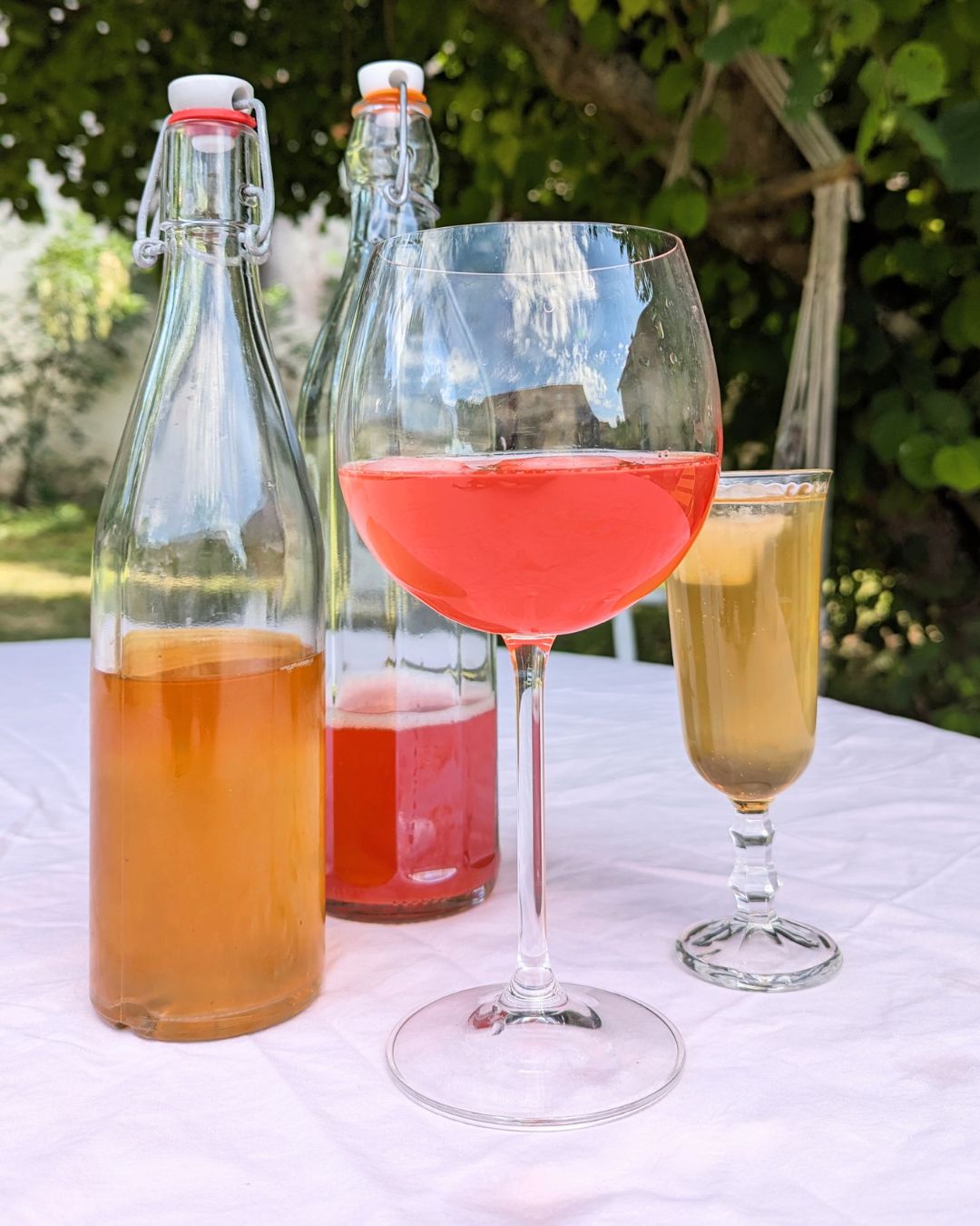 Les incroyables bienfaits du Kombucha